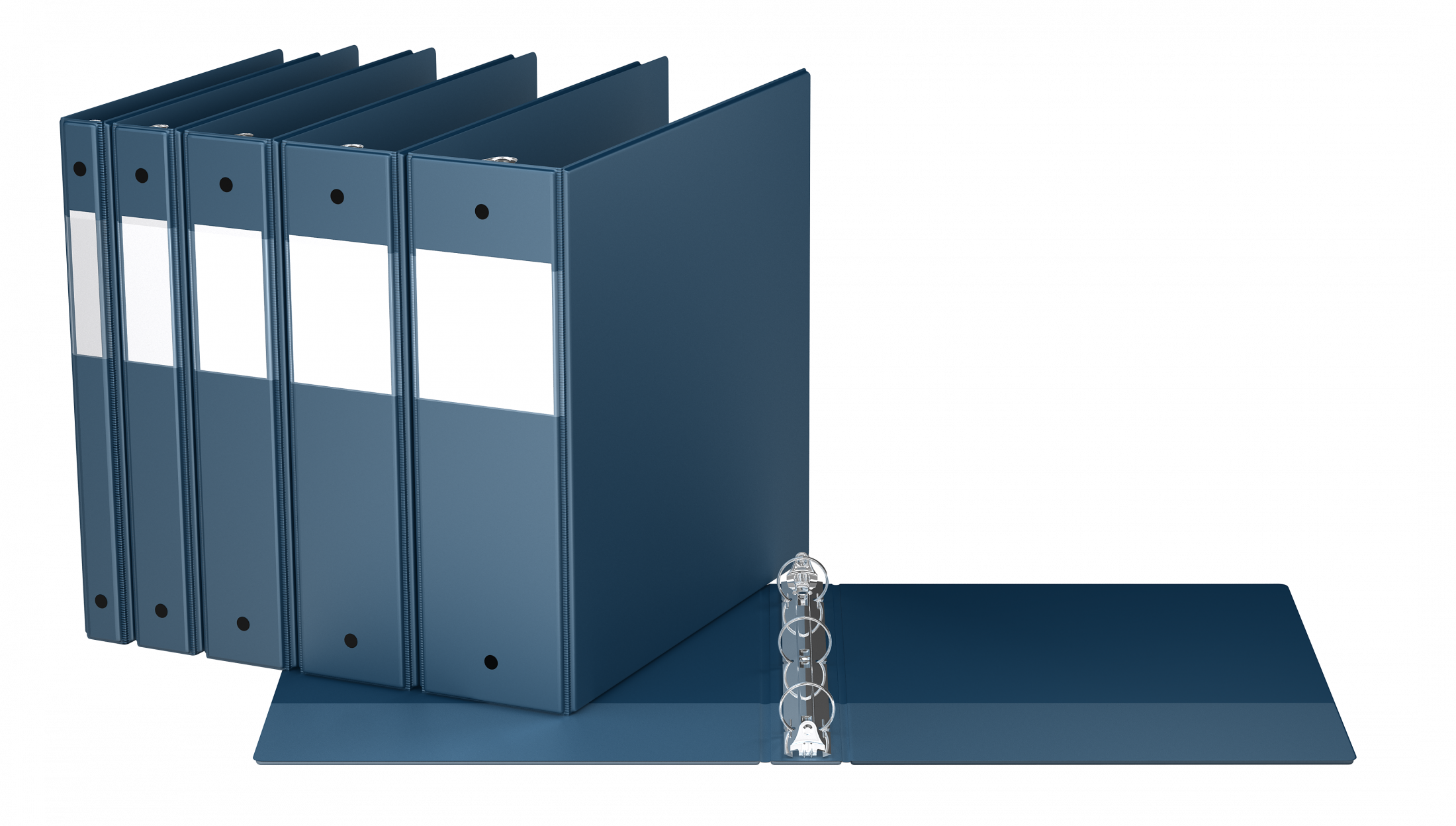 Round Ring Classic Binders - Davis Group
